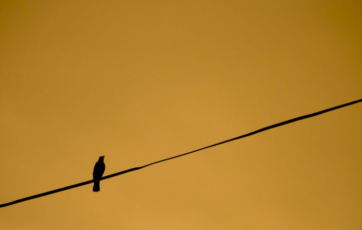 Between Counting and Waiting: The Night We Reunite